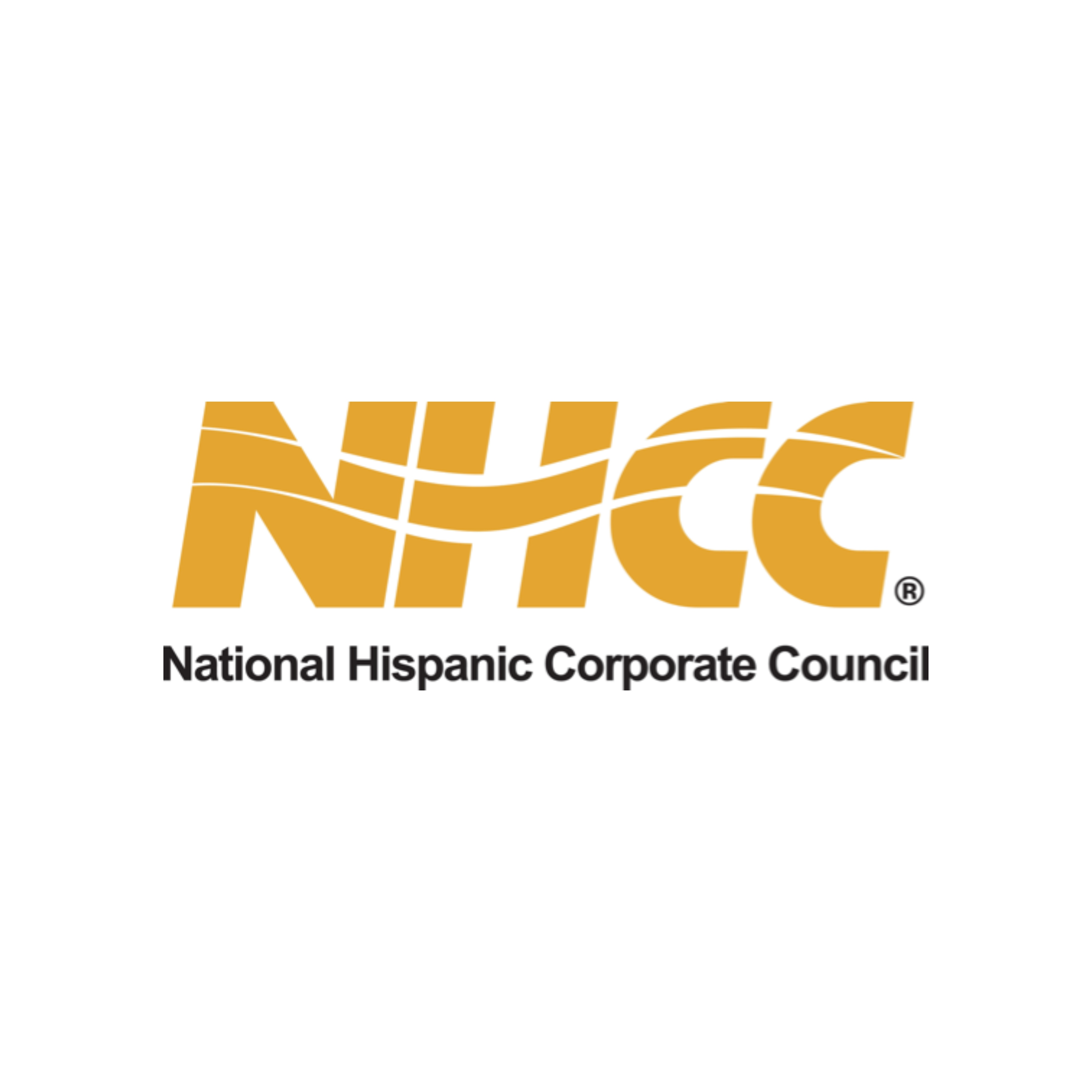 多元、平等、包容文化的合作伙伴